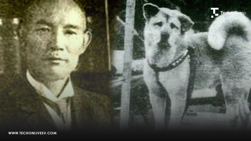 La historia de Hachiko, el “perro más fiel del mundo” llega a su centenario - techonlivesv
